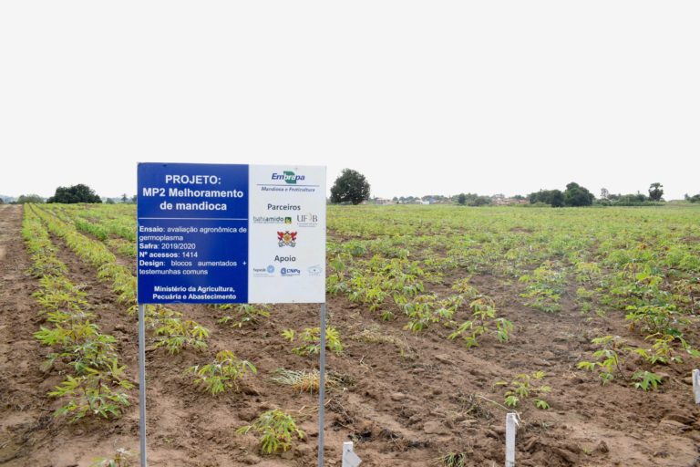 Partner Spotlight: Brazilian Agricultural Research Corporation (EMBRAPA ...